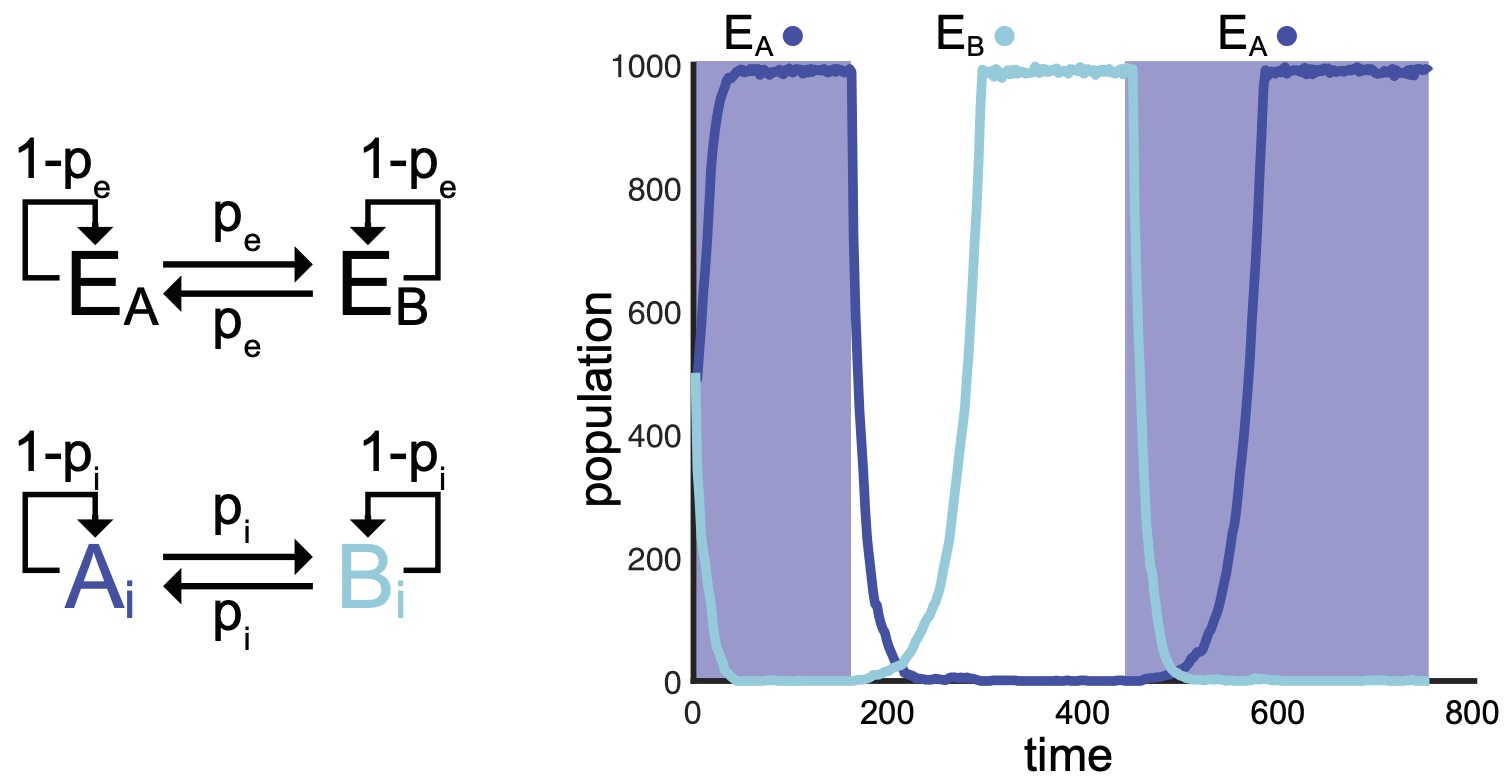 Bet hedging and phenotypic plasticity | Eric Libby academic page