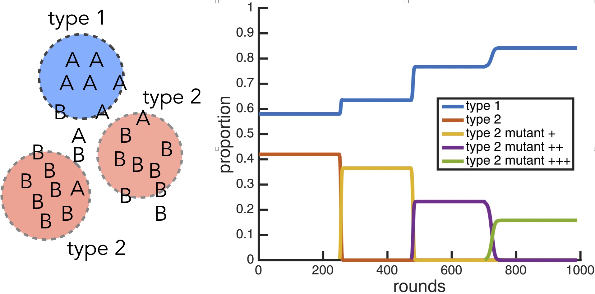 Syntrophy and microbial trade | Eric Libby academic page