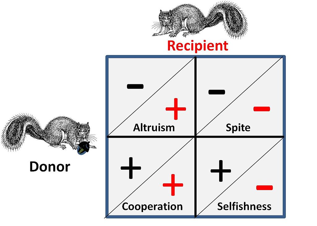 Fundamental mathematical models in evolution | Eric Libby academic page